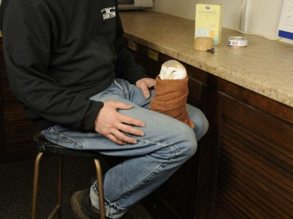 HOW TO WRAP AN OWL